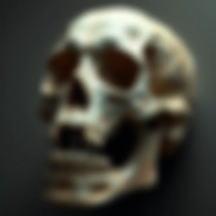 Exploring Humanity's Lengthy History Through Skull Discoveries ...