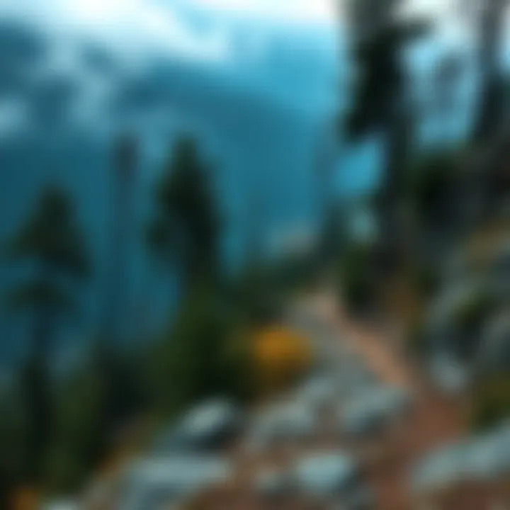 The Disappearance of Barbara Bolick at Bear Creek : MysteryLores