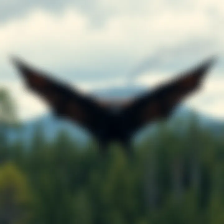 The Batsquatch: Fact or Fiction After Mount St Helens? : MysteryLores