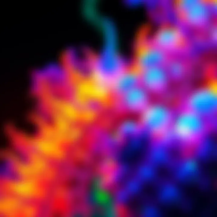 Check Out My BiolumenPress Bast Art Print from Last Year : MysteryLores