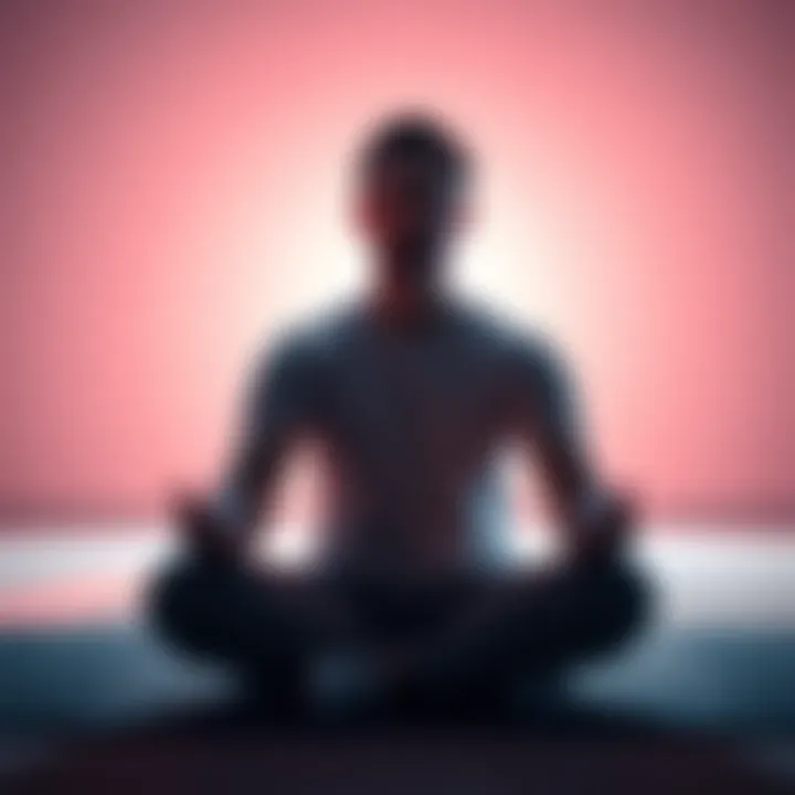 Manifesting Concerns: When Scenes Lose Their Vividness : MysteryLores