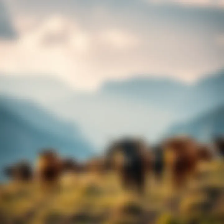 Cattle Mutilation Cases Surge in East Carbon, Utah : MysteryLores