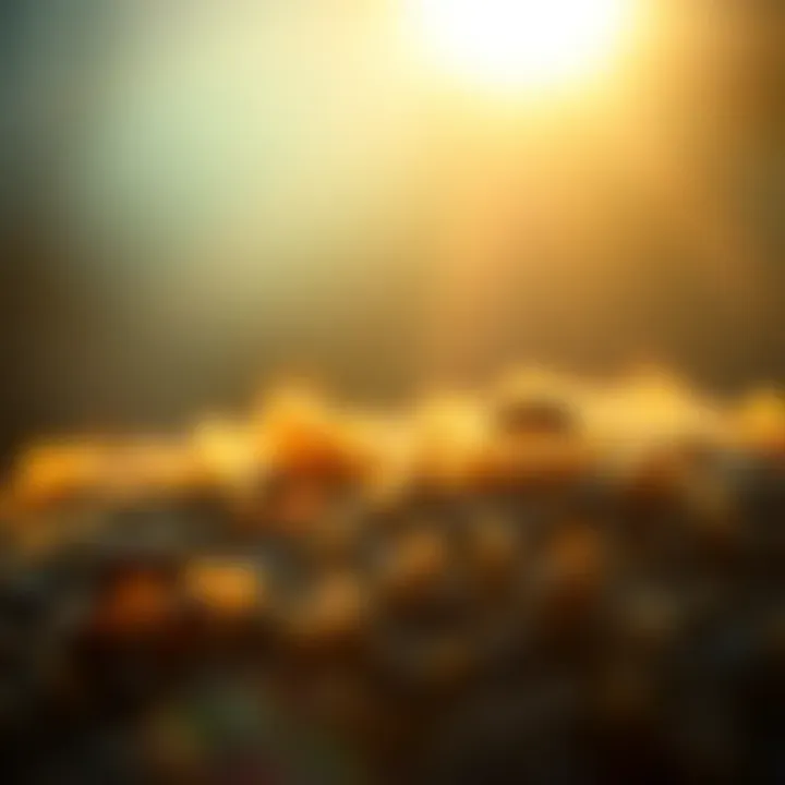 The Rise of the Word 'Mote' in Everyday Language : MysteryLores