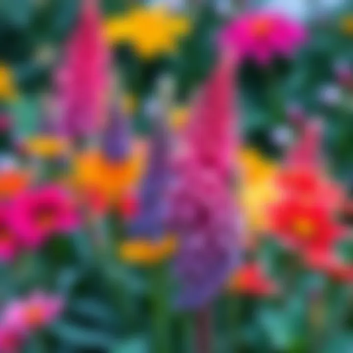 Exploring Stunning Types of Unique Flowers : MysteryLores