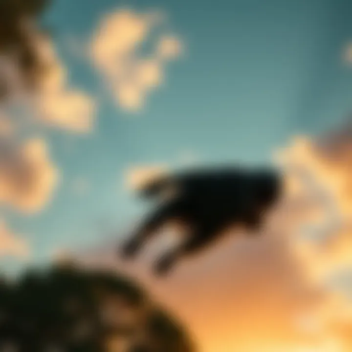 Mysterious Creature Captured on Camera: What Is It? : MysteryLores