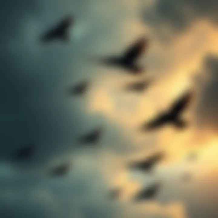 What Does a Dream About Crows Mean? Insights Needed : MysteryLores