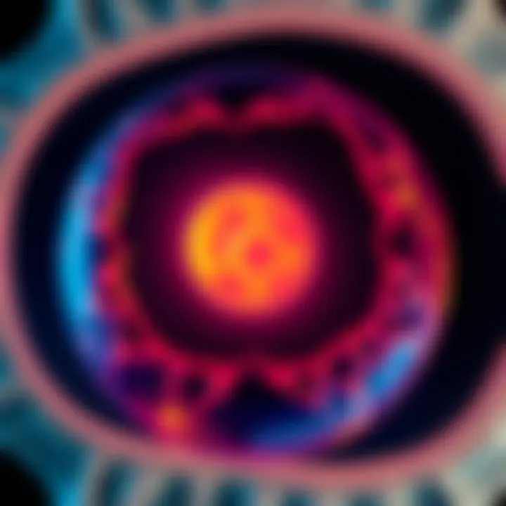 CT Scan Reveals Insights on Buga's Mysterious Sphere : MysteryLores