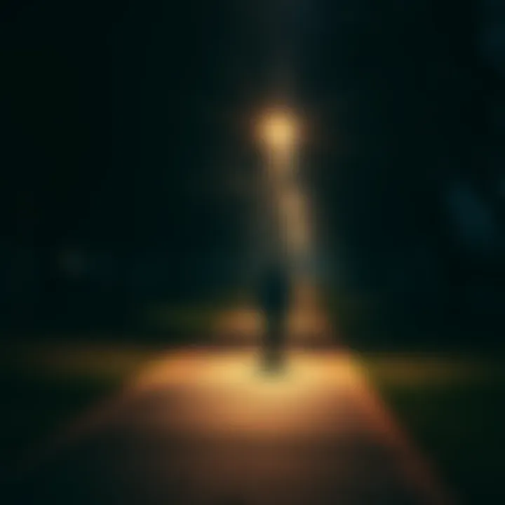 A Scary Walk Through the Park at 2 A.M: A Terrifying Experience ...