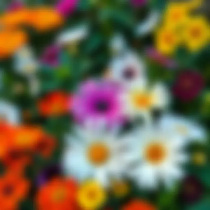Choosing the Right Flowers for Your Devotional Garden : MysteryLores