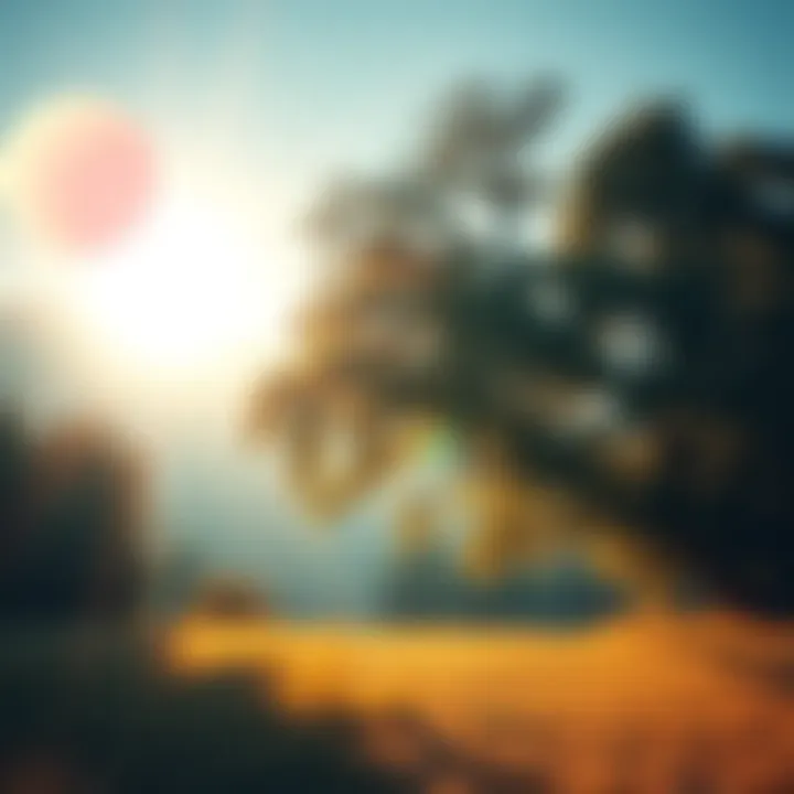 Forgiveness as the Path to Healing and Inner Peace : MysteryLores