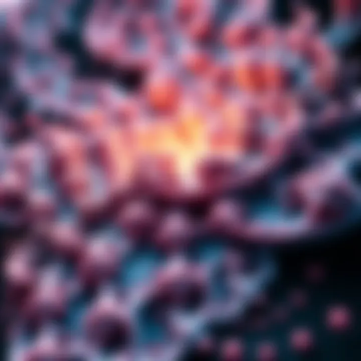 Fractal Language Development: Explore New Dimensions : MysteryLores