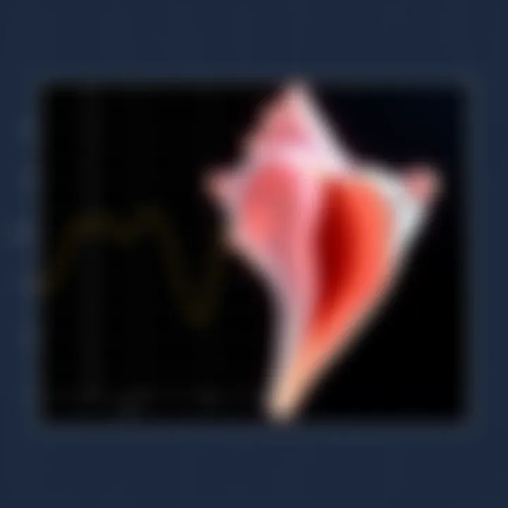 Exploring the First Nine Harmonics and Conch Shells : MysteryLores