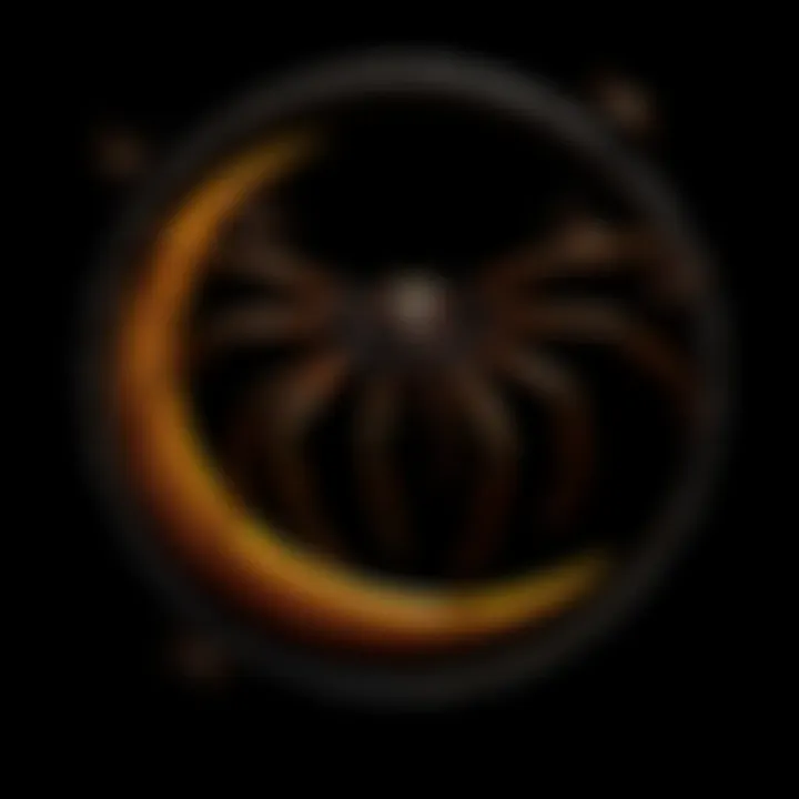 Connecting with Hecate: Signs and Spider Dilemmas : MysteryLores