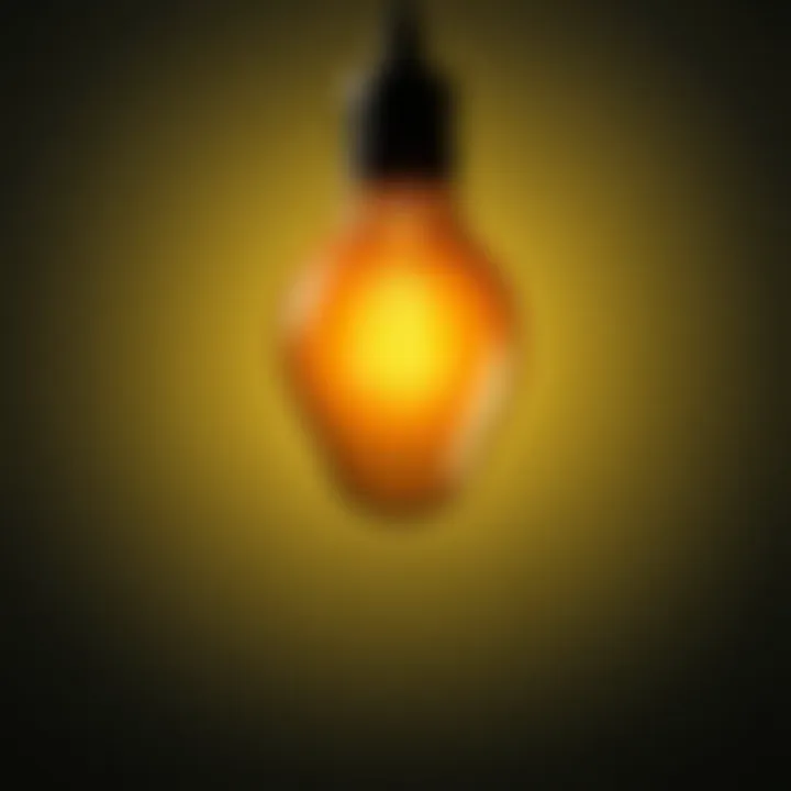 Understanding the Concept of Enlightenment: A Deep Dive : MysteryLores