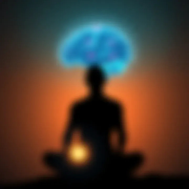 Understanding the Concept: You Are Not A Body : MysteryLores