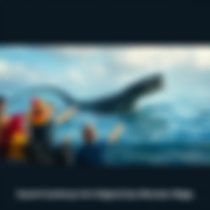 Search Continues for Original Sea Monster Footage : MysteryLores