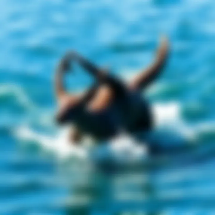 Exploring the Mystery of Multi-Humped Cryptids in Water : MysteryLores