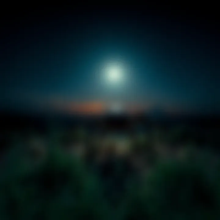 Strange Creatures in West Texas: Crawler Sightings : MysteryLores