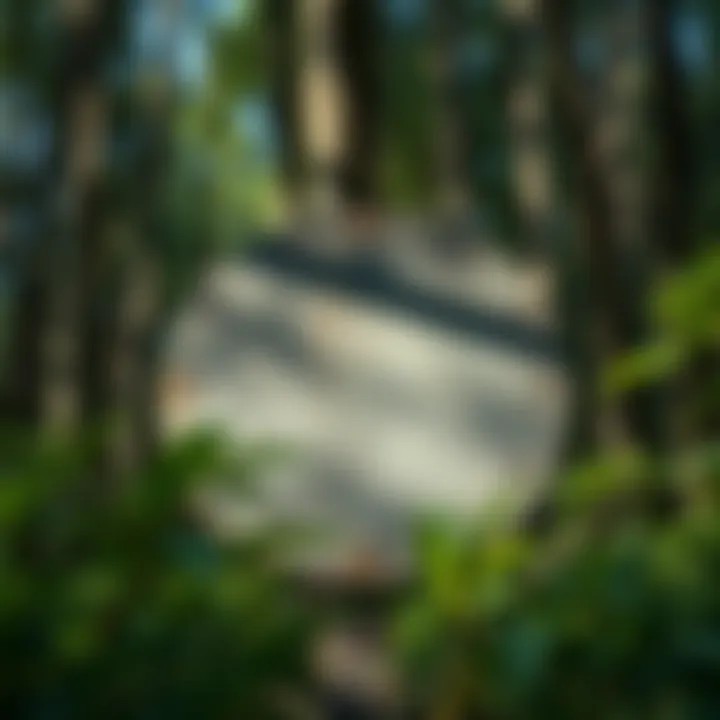 Identifying the Sign: Insight into the Unknown : MysteryLores