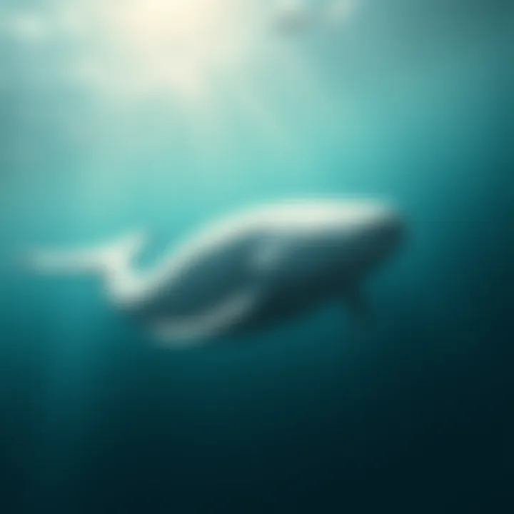 The Ningen: Japan's Elusive Sea Creature Encounter : MysteryLores