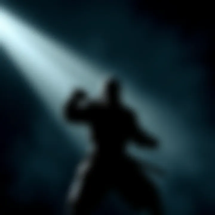 The True Story of Ninjas: More Than Just Movie Myths : MysteryLores