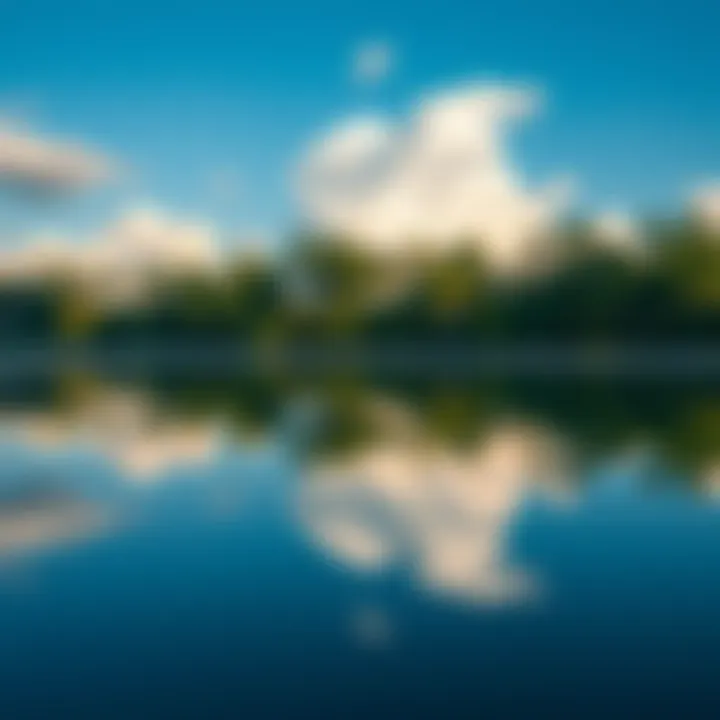 Exploring the Art of Letting Go: Finding Peace : MysteryLores