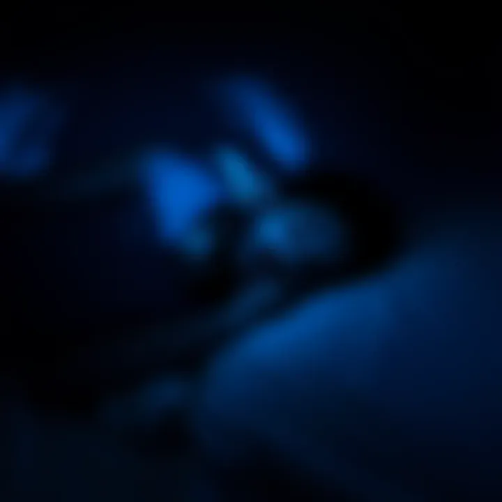 Exploring the Fascination with Nightmares and Dreams : MysteryLores