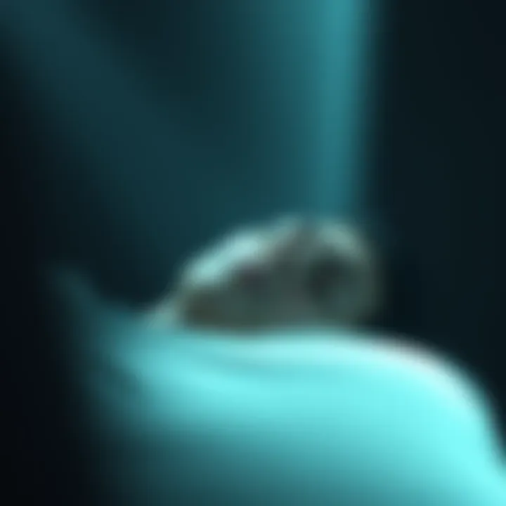 Scary OOB Experience After Hemi-Sync Session : MysteryLores