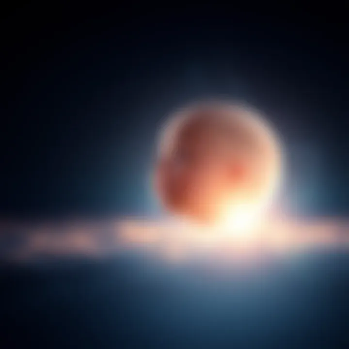 Memories of a Life Before Birth: An Intriguing Experience : MysteryLores