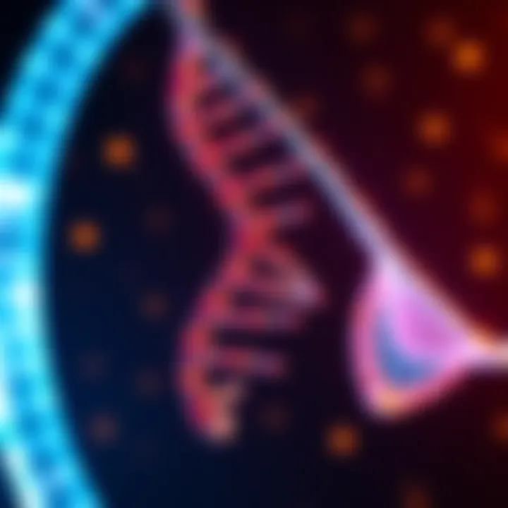 Exploring The Link Between Prime Numbers And Dna Structures Mysterylores
