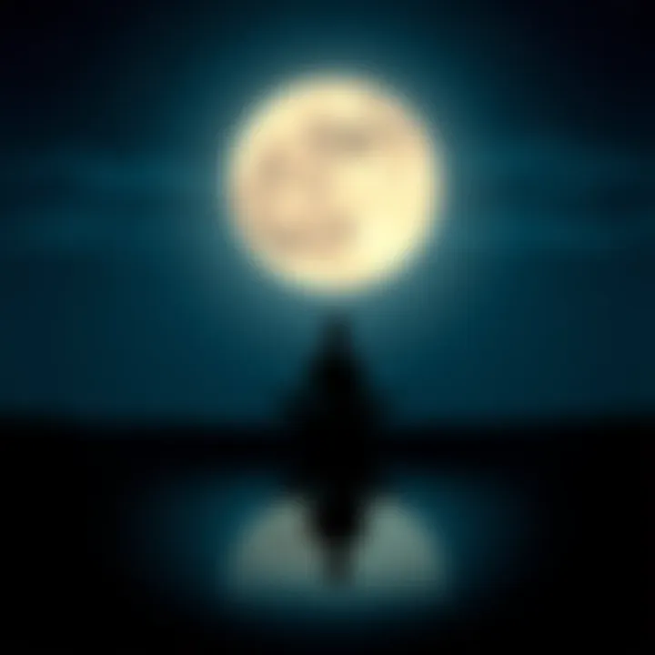 Understanding Reflectors in Human Design Explained Simply : MysteryLores