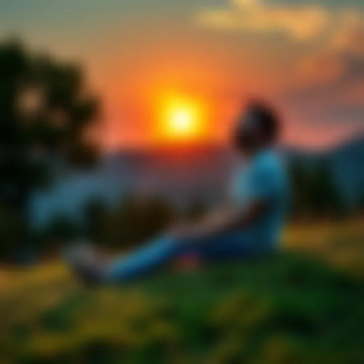 Forget Enlightenment: Just Relax and Live Your Life! : MysteryLores