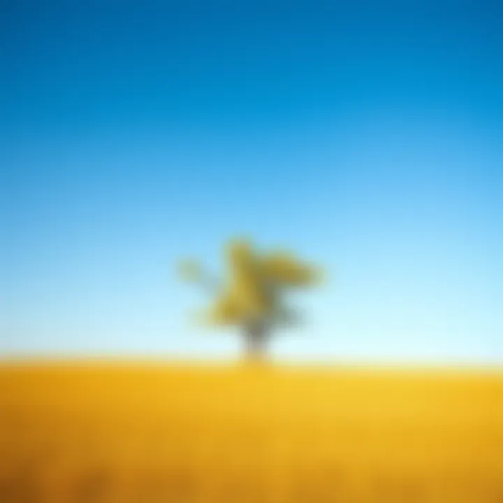 Exploring the True Meaning Behind Simplicity : MysteryLores