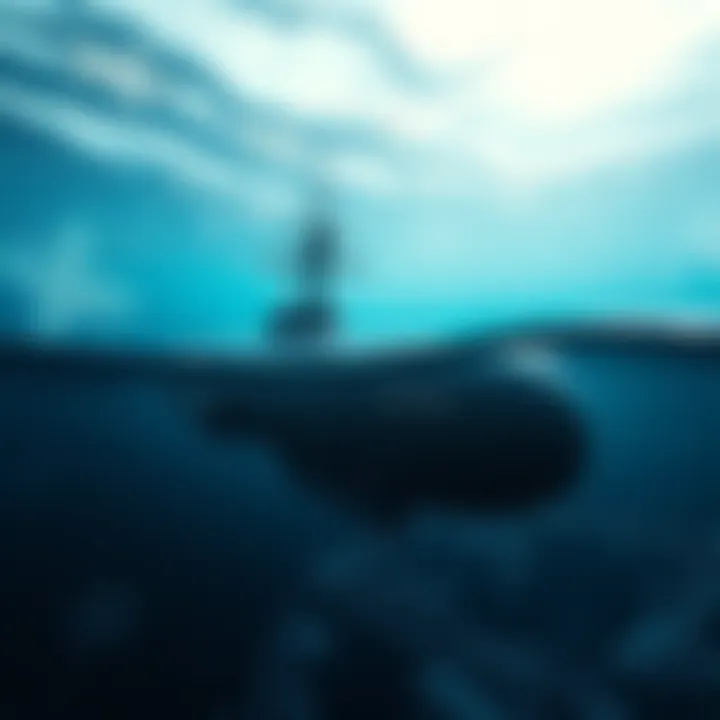 Submarine Discovers Odd Structures in Antarctica, Signal Lost ...