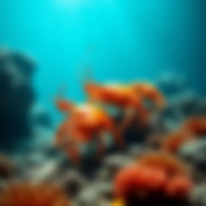 Supergiant Crustaceans May Rule the Deep-Sea Floor : MysteryLores