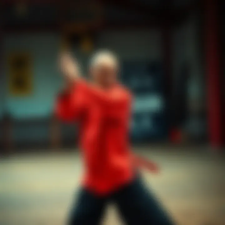 Practicing Taiji: Effective Tactics for Real Fights : MysteryLores