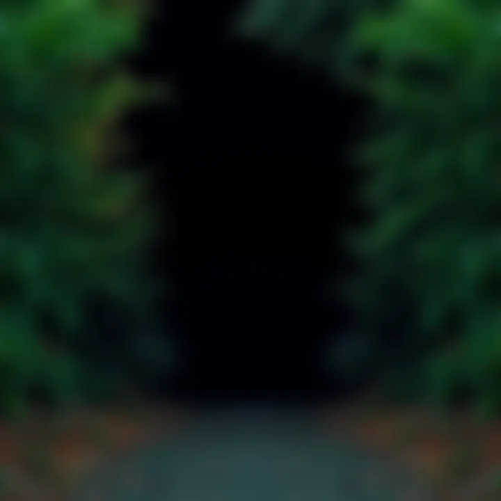 What Happened to the Missing Tunnel Tease from Last Season? : MysteryLores