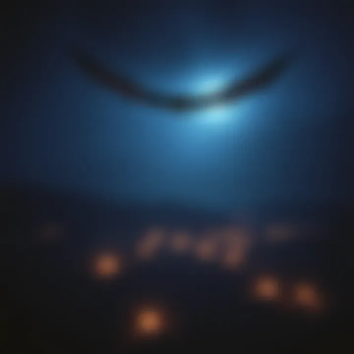 The Van Meter Visitor: A Century-Old Mystery Unfolds : MysteryLores